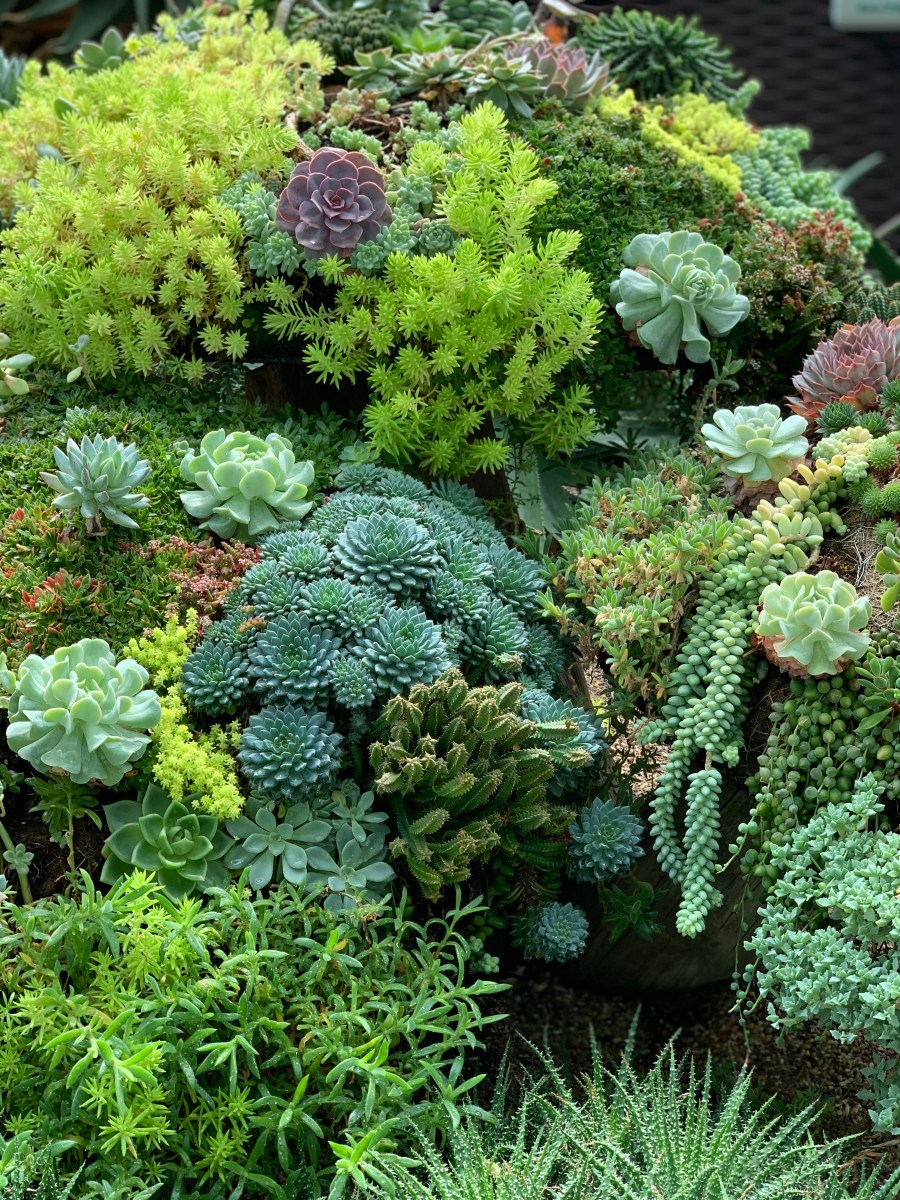 The year that was 2020 – Kate Swain